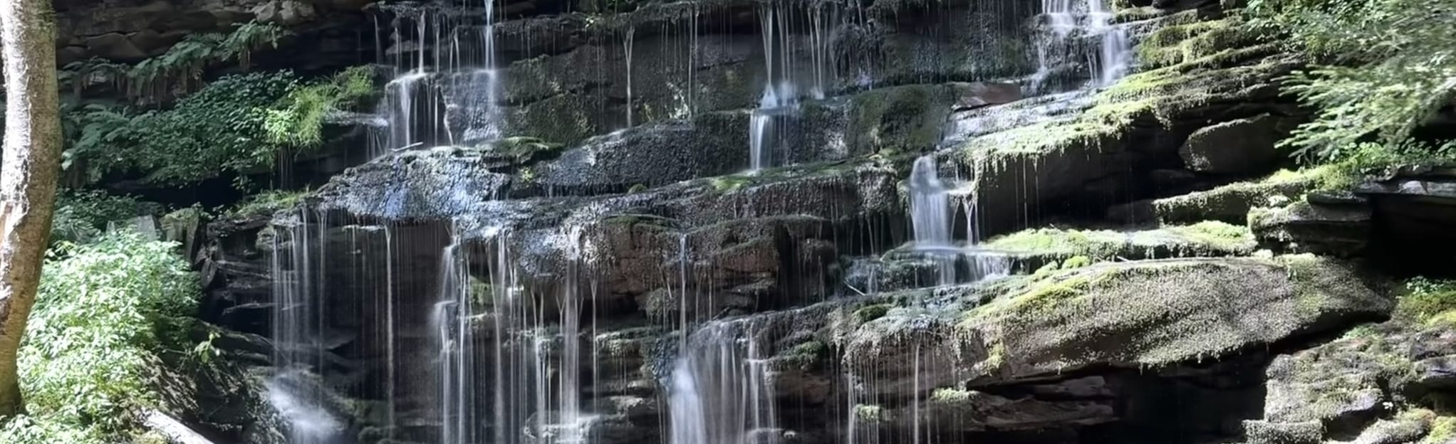Rosecrans Falls, Pennsylvania - 151 Reviews, Map | AllTrails