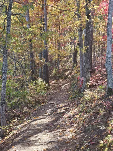 Best Hikes and Trails in Swain County Park | AllTrails
