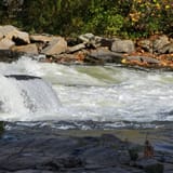 Ferncliff Trail, Pennsylvania - 1,279 Reviews, Map | AllTrails