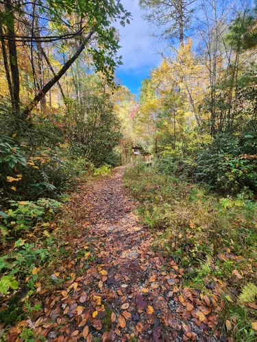 10 Best Trails and Hikes in Murphy | AllTrails