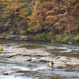 Ferncliff Trail, Pennsylvania - 1,279 Reviews, Map | AllTrails