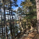 Middlesex Fells Reservation Loop Trail, Massachusetts - 527 Reviews ...