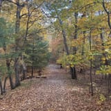 Middlesex Fells Reservation Loop Trail, Massachusetts - 527 Reviews ...