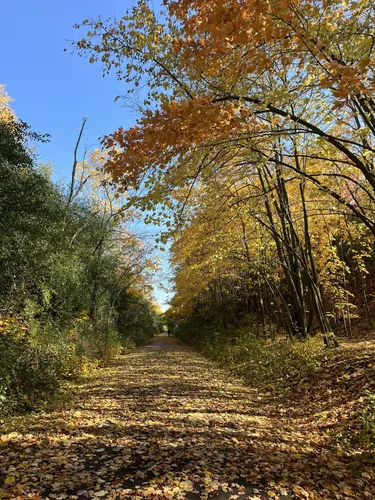 Best Hikes and Trails in Spring Green Park | AllTrails