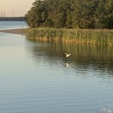 Lake Bryan Trail, Texas - 247 Reviews, Map | AllTrails