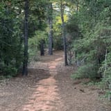 Lake Bryan Trail, Texas - 247 Reviews, Map | AllTrails