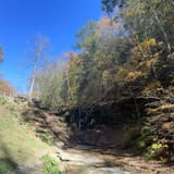 Fall Run Trail, Pennsylvania - 794 Reviews, Map | AllTrails