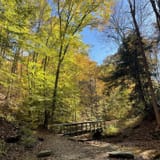 Fall Run Trail, Pennsylvania - 794 Reviews, Map | AllTrails