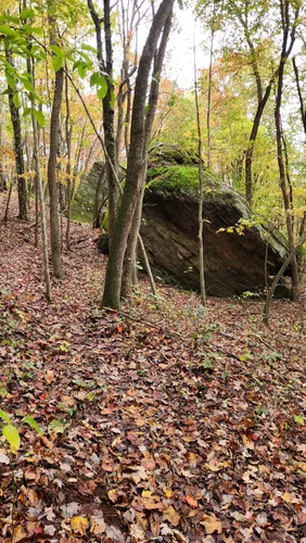 Best Hikes and Trails in Ohio Hanging Rock | AllTrails