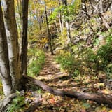 Graybeard Trail, North Carolina - 1,733 Reviews, Map | AllTrails