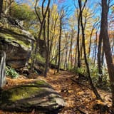 Graybeard Trail, North Carolina - 1,733 Reviews, Map | AllTrails