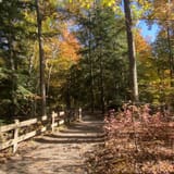 Hemlock Loop Trail, Ohio - 984 Reviews, Map | AllTrails
