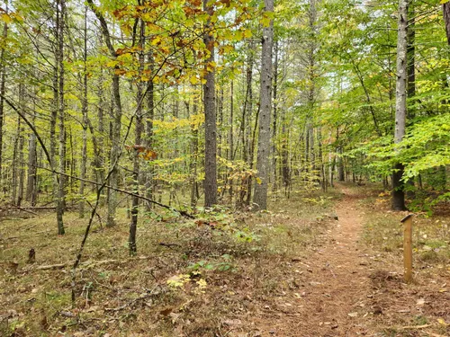 Best Dog Friendly Trails in Lee | AllTrails