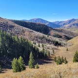 Proctor Mountain Trail, Idaho - 1,213 Reviews, Map | AllTrails