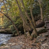 Meadow Run Trail, Pennsylvania - 1,081 Reviews, Map | AllTrails