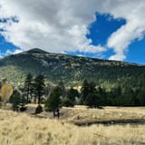 Inner Basin Trail, Arizona - 881 Reviews, Map | AllTrails