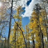 Inner Basin Trail, Arizona - 881 Reviews, Map | AllTrails