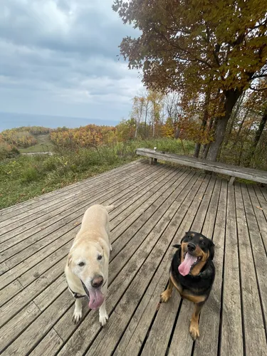 Best Hikes and Trails in Georgian Peaks | AllTrails