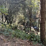 Grass Valley Wolf Creek Trail, California - 217 Reviews, Map | AllTrails