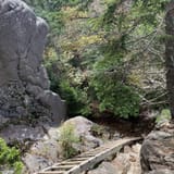 Crane Mountain Loop Hike, New York - 1,306 Reviews, Map | AllTrails