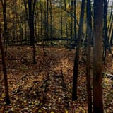 Luton Park Trail, Michigan - 1,403 Reviews, Map | AllTrails
