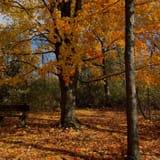 Luton Park Trail, Michigan - 1,403 Reviews, Map | AllTrails