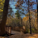 Luton Park Trail, Michigan - 1,403 Reviews, Map | AllTrails