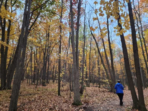 Best Hikes and Trails in Ledge View Nature Center | AllTrails