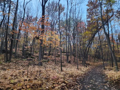 Best Hikes and Trails in Ledge View Nature Center | AllTrails