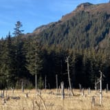 Tonsina Creek Trail, Alaska - 1,327 Reviews, Map | AllTrails