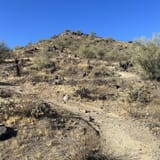 Dixie Summit Trail, Arizona - 1,271 Reviews, Map | AllTrails