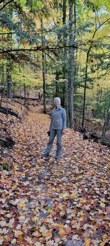 Best Hikes and Trails in Torch River Ridge | AllTrails