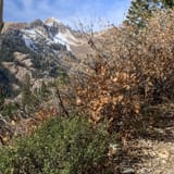 Pittsburg Lake Trail, Utah - 257 Reviews, Map | AllTrails