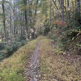 Bear Creek and Pinhoti Loop, Georgia - 603 Reviews, Map | AllTrails