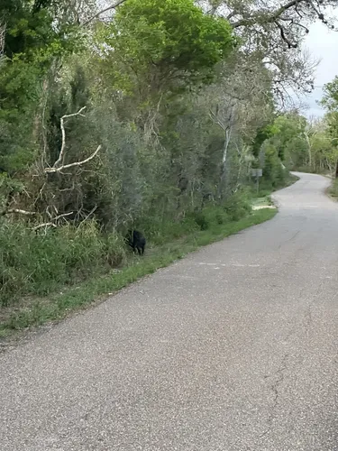 Best Hikes and Trails in Santa Ana National Wildlife Refuge | AllTrails