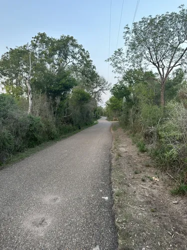 Best Hikes and Trails in Santa Ana National Wildlife Refuge | AllTrails