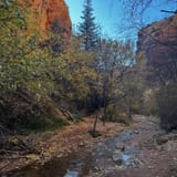 Spring Creek Canyon, Utah - 1,147 Reviews, Map | AllTrails