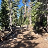 Fallen Leaf Lake Trail, California - 1,110 Reviews, Map | AllTrails