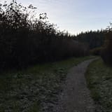 Ward Lake Trail, Alaska - 133 Reviews, Map | AllTrails