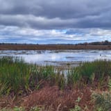 Liberty Loop Trail, New York - 416 Reviews, Map | AllTrails