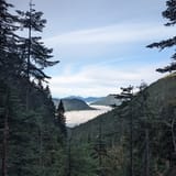 Hidden Lake Lookout, Washington - 1,936 Reviews, Map | AllTrails