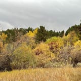 Sunshine Canyon Trail, Colorado - 725 Reviews, Map | AllTrails