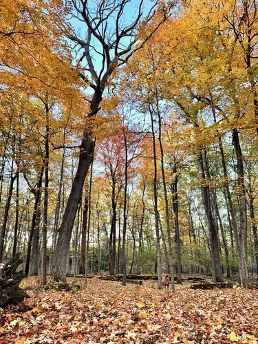 Best Hikes and Trails in Big Run Park | AllTrails