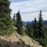 Thorp Mountain Trail, Washington - 232 Reviews, Map | AllTrails