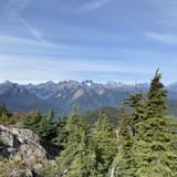 Thorp Mountain Trail, Washington - 198 Reviews, Map | AllTrails