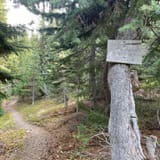 Thorp Mountain Trail, Washington - 232 Reviews, Map | AllTrails