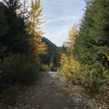 Thorp Mountain Trail, Washington - 232 Reviews, Map | AllTrails