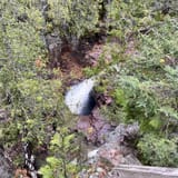 Devil's Kettle, Minnesota - 1,226 Reviews, Map | AllTrails