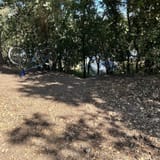 The Meadows Slough Trail, California - 449 Reviews, Map | AllTrails