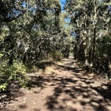 The Meadows Slough Trail, California - 449 Reviews, Map | AllTrails
